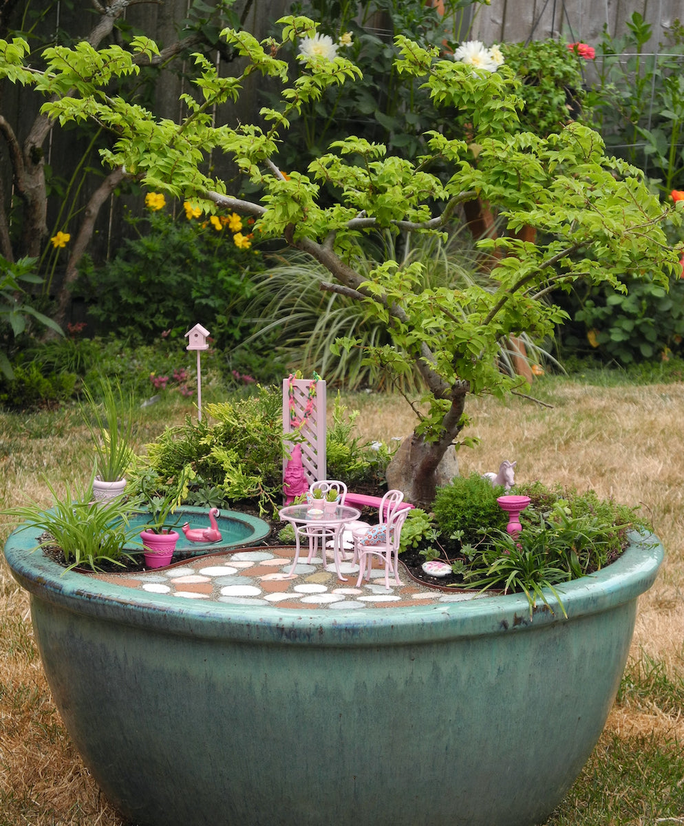 Miniature Garden Trees, Shop by Design for Tall, Broad, Mini Trees ...