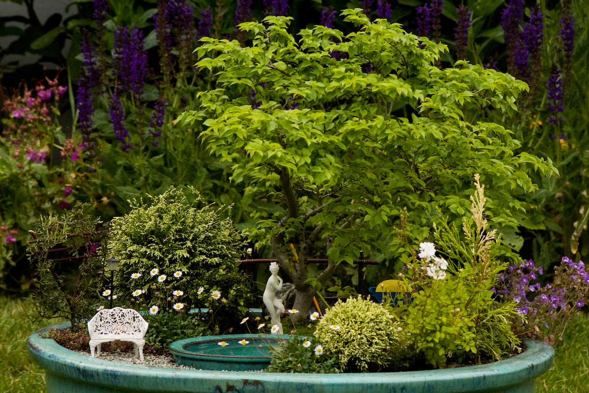 Mini Water Features – Two Green Thumbs Miniature Garden Center