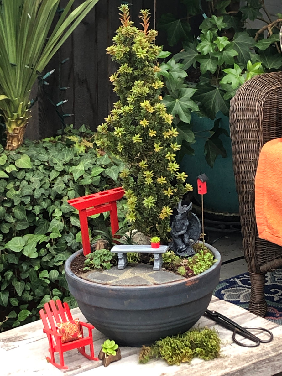 Miniature Garden Trees, Shop by Design, Tall, Skinny, Mini Trees – Two ...