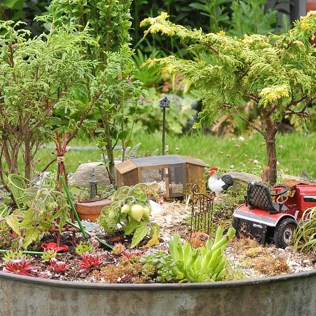 Gardening in Miniature: Create Your Own Tiny Living World Book – Two ...