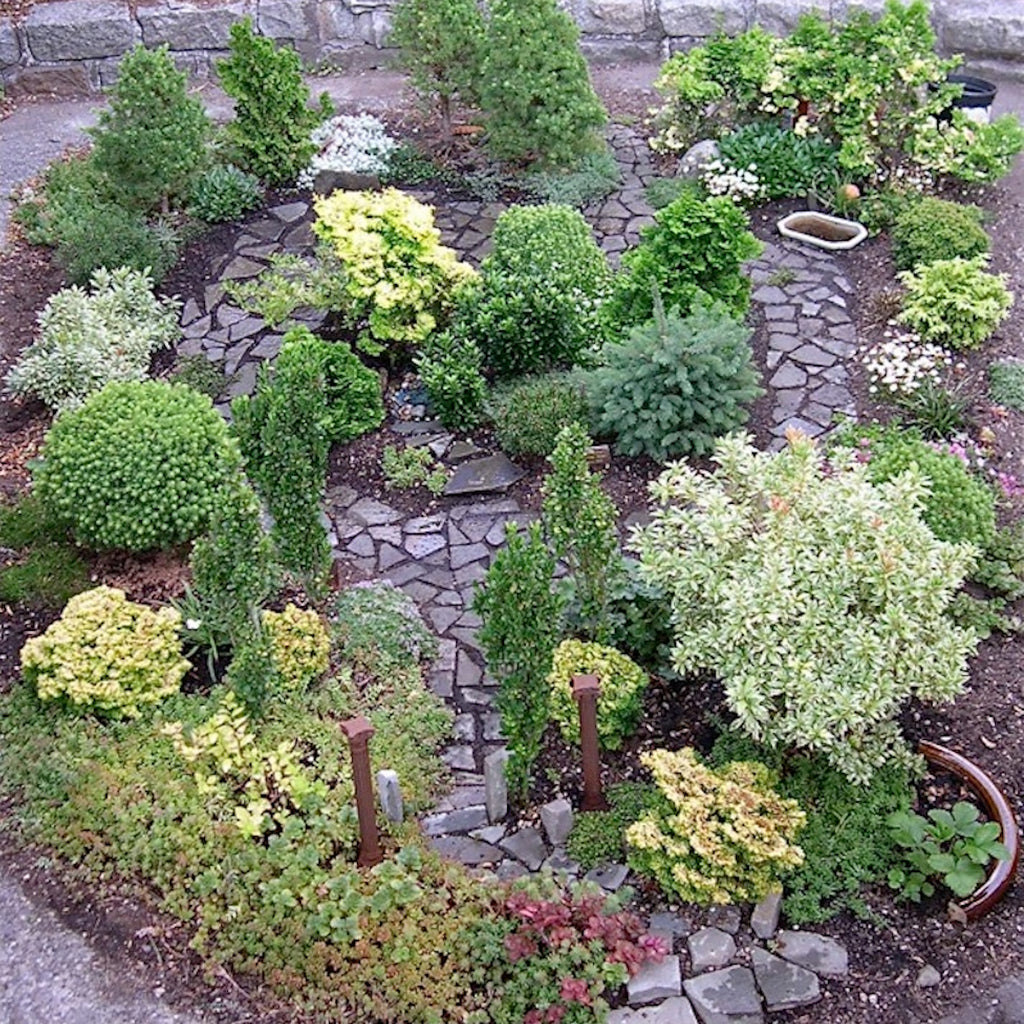 Gardening in Miniature: Create Your Own Tiny Living World Book – Two ...