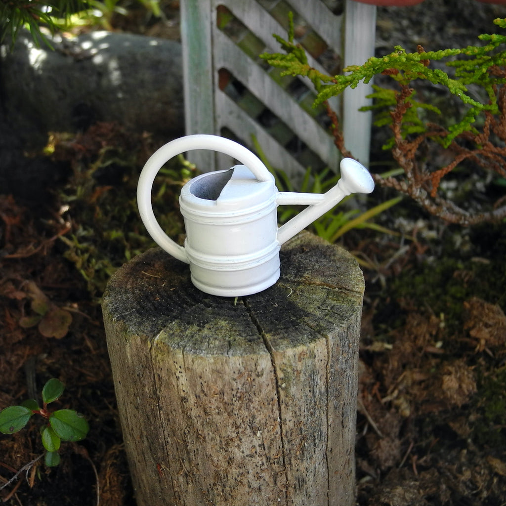 Miniature Garden Water Can for Dollhouse Miniature Gardens, Fairy ...
